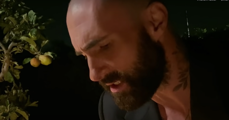 Has Adam Levine Gotten Hair Transplants? Fans Certainly Think So