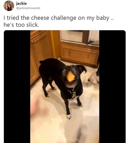 The "Cheese Challenge" Has Parents Throwing Slices on Their Baby's Faces