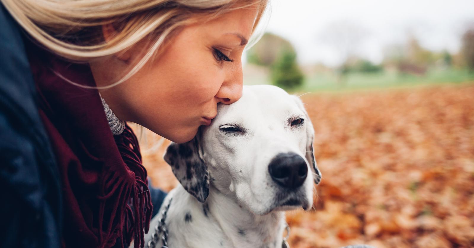 Dog Owners Kiss Pups More Than Human Partners, According to New Survey