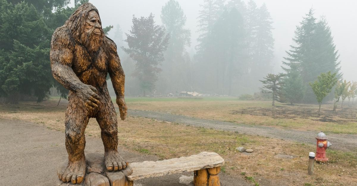 Is 'Expedition Bigfoot' Real? Here's What We Know