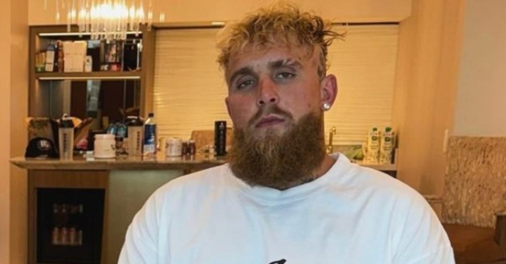 Why Do People Hate Jake Paul? There's a List of Reasons