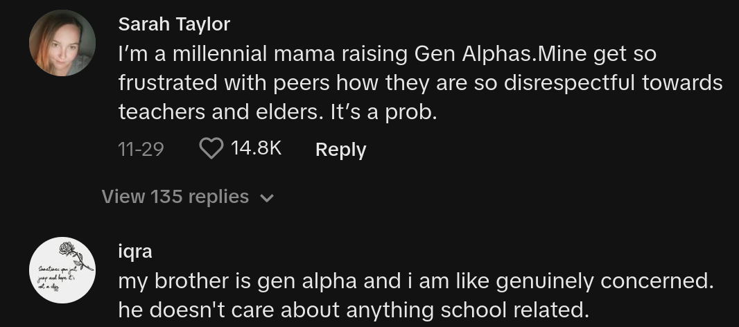 Gen Alpha Is Impossible to Teach, Educator Blames Parents