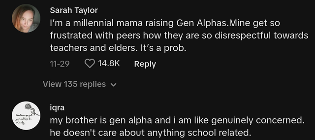 Gen Alpha Is Impossible to Teach, Educator Blames Parents