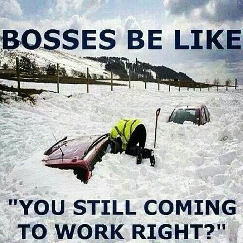 19 Snow Day Memes to Keep You Occupied While You're Stuck Inside