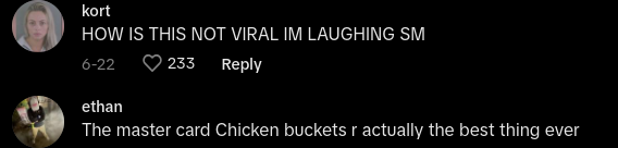 Yankees Fan Kicked Out of Game for Chicken Bucket Castle