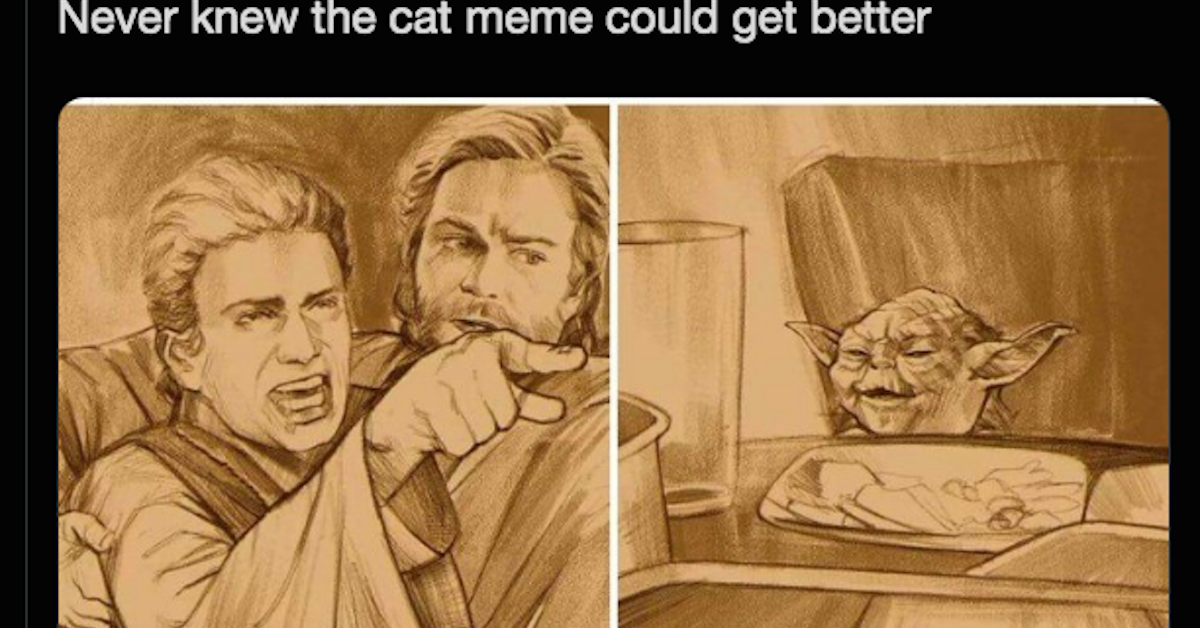 These White Cat Memes Are Peak Internet Humor, TBH — Details