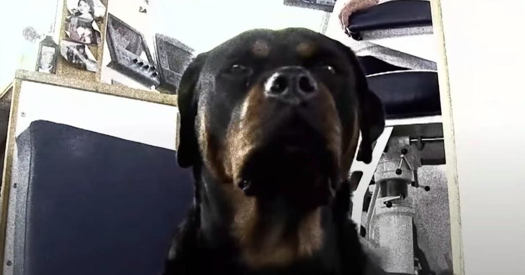 What Happened to Reba on ‘Wicked Tuna’? Details on “Dog Days” Episode