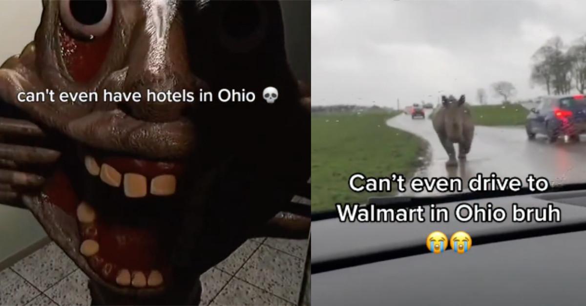 Only in Ohio: TikTok Meme, Explained