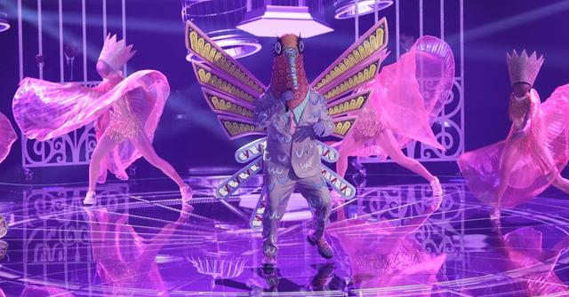 Who Is Hummingbird on 'The Masked Singer'? Let's Discuss
