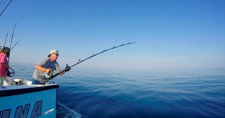 What Happened to the ‘Falcon’ on ‘Wicked Tuna’? Dave Marciano Says