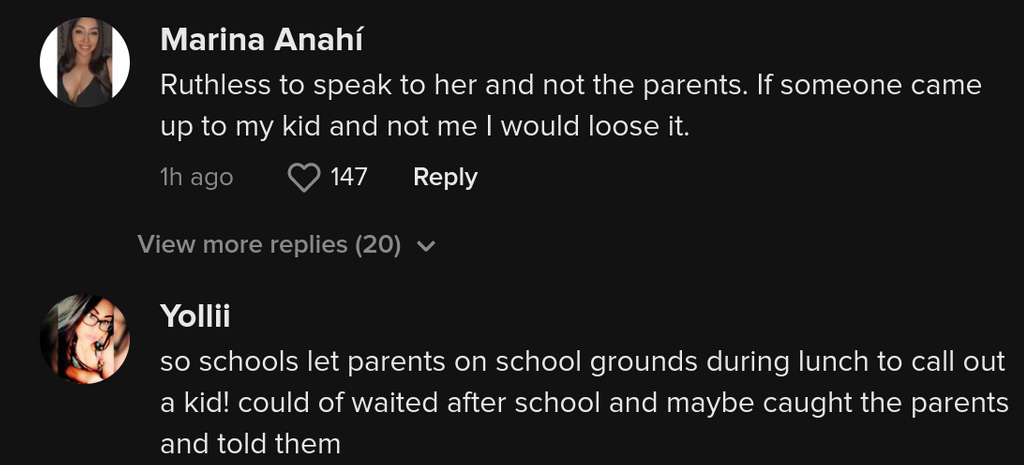 Mom Confronts Sons Elementary School Bully Sparking Debate