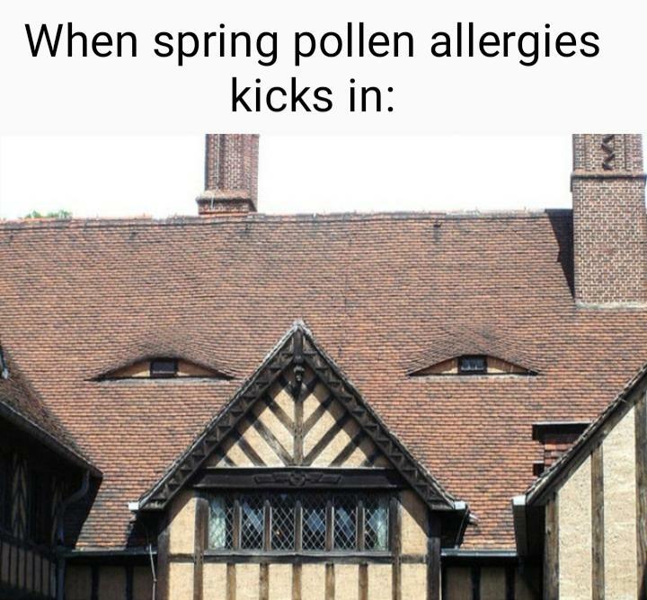 First Day of Spring Memes About the Season Changing
