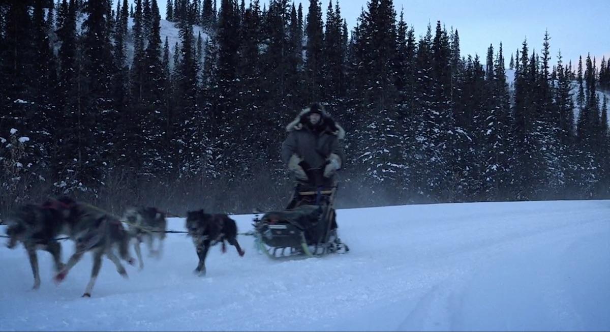 'Life Below Zero' Jessie Holmes Iditarod Ranking — Has He Won the Race?