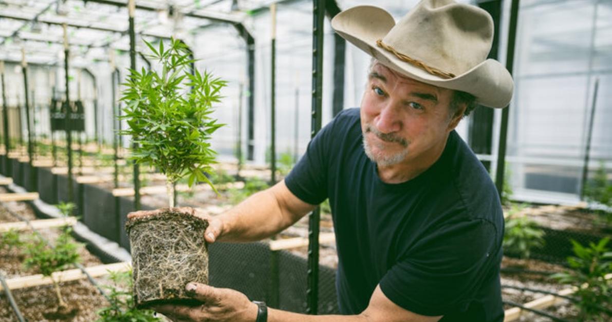 What Caused the Fire on Jim Belushi's Farm? Update