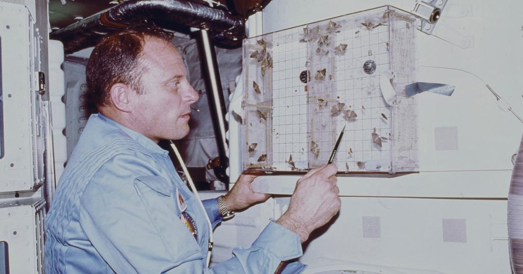 What Is the Mothman on ‘Riverdale’? The Series May Face a New Creature