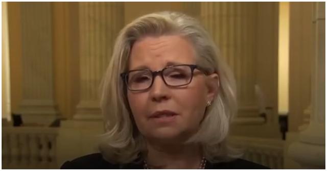 Who Are Liz Cheney's Children? Details on Her Family