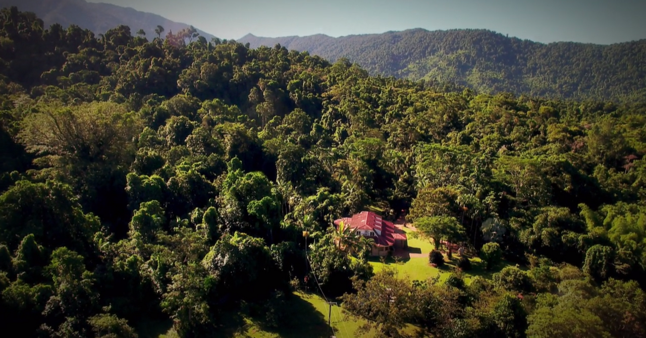 Meet Gene and Sharon from 'Instant Hotel' and Book Their Rental