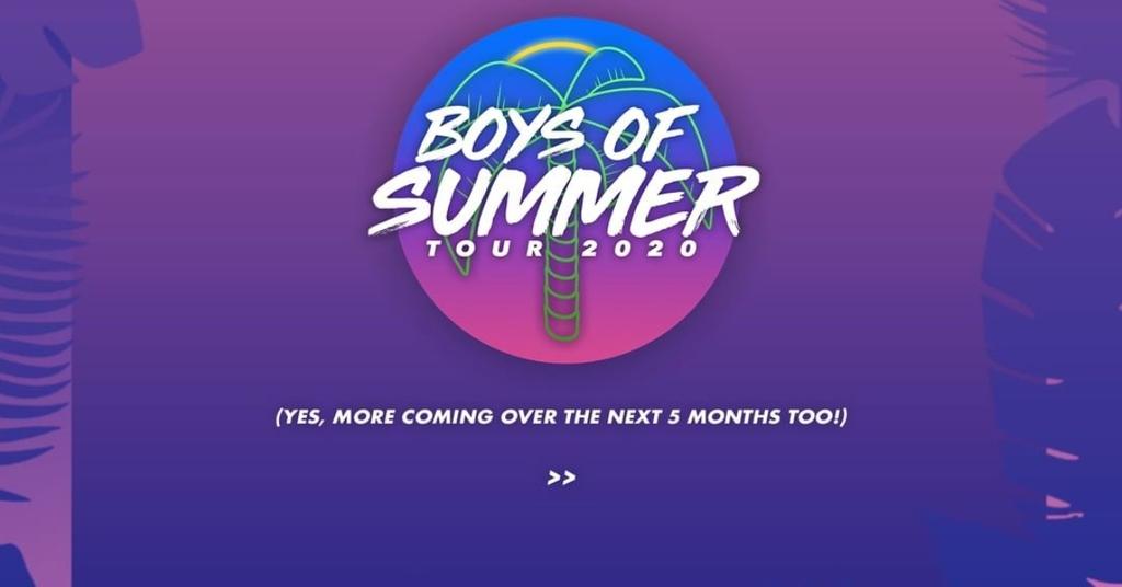 The Boys of Summer Tour 2020 Is a Who's Who of Internet Stars