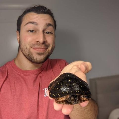 This Tortoise on TikTok Only Attracts Black Shoes – Why?