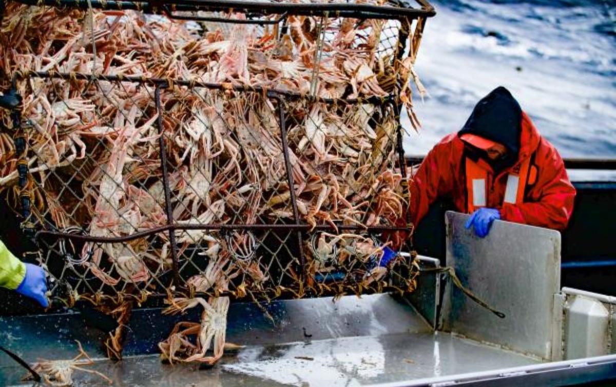 Where Is the Cornelia Marie From Deadliest Catch? Details