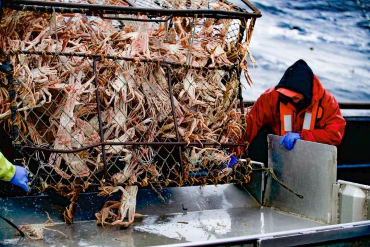 Where Is the Cornelia Marie From Deadliest Catch? Details