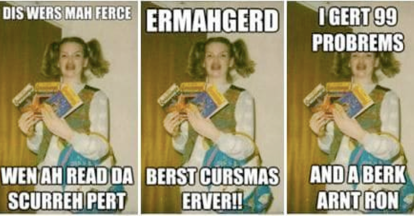 Stories Behind Iconic Meme Pictures, From Ermahgerd to Doge