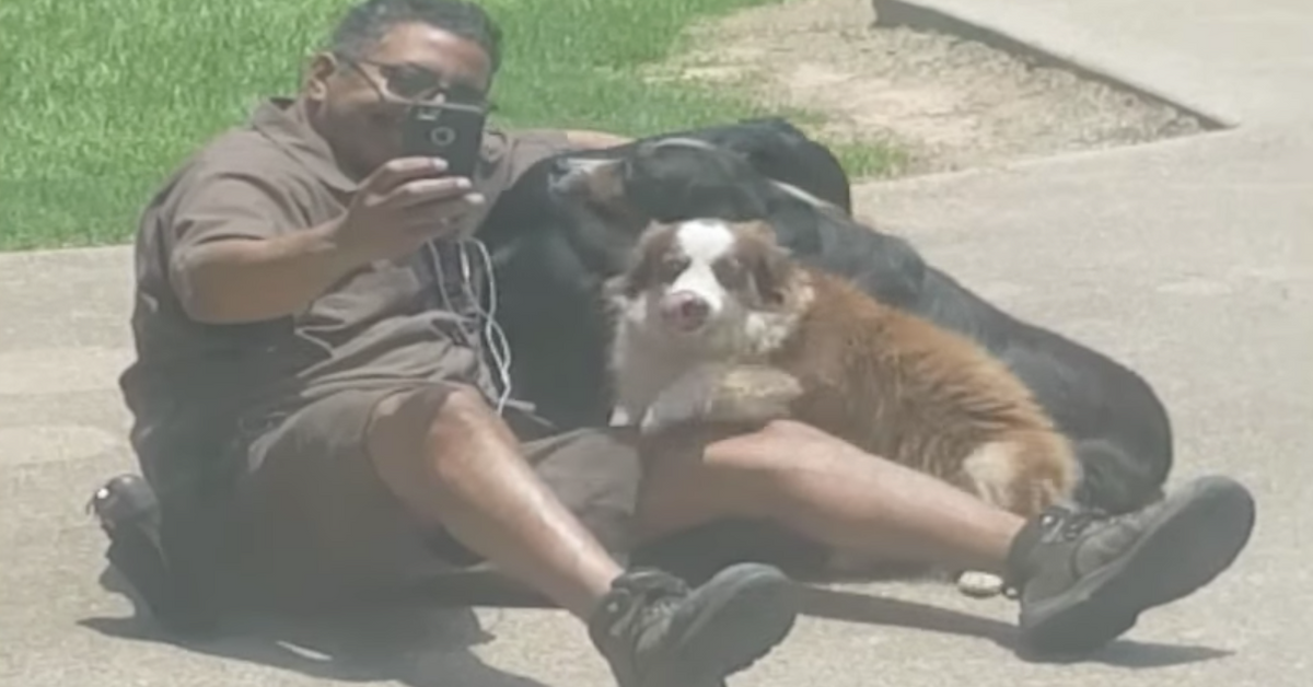 UPS Delivery Man Breaks Stereotypes And Becomes Best Friends With Local ...