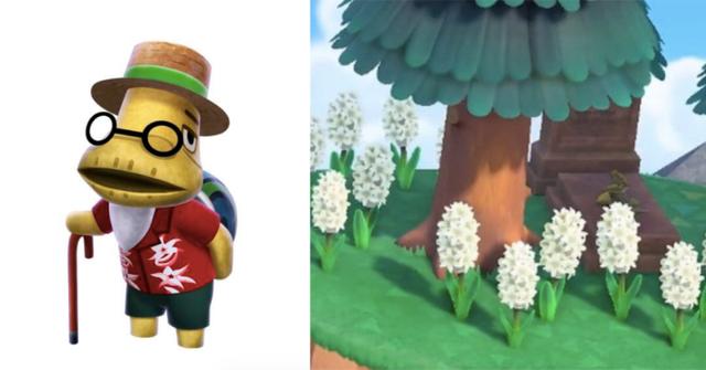 The ‘Animal Crossings’ Character Tortimer Might Be Dead in New Game
