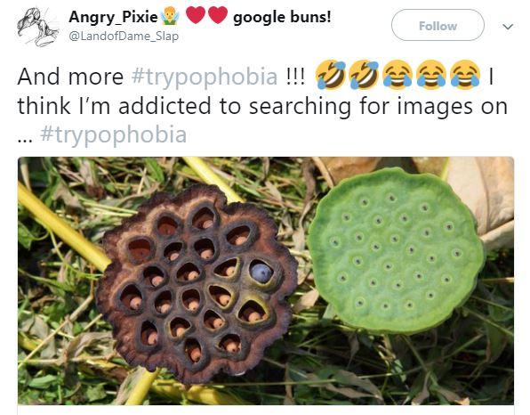 22 Trypophobic Images You Shouldn't Look at for Too Long
