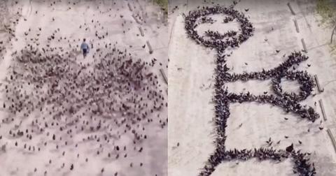 Robin Zlotnick - Distractify