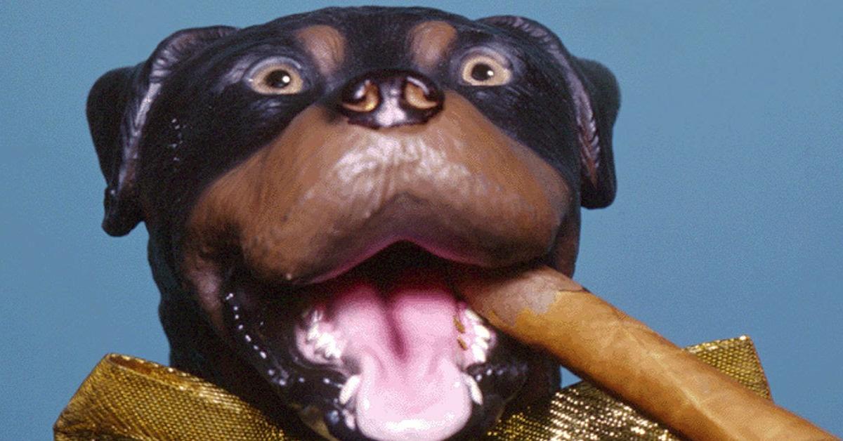 Meet Robert Smigel, Creator of 'Let's Be Real' & Triumph the Insult ...