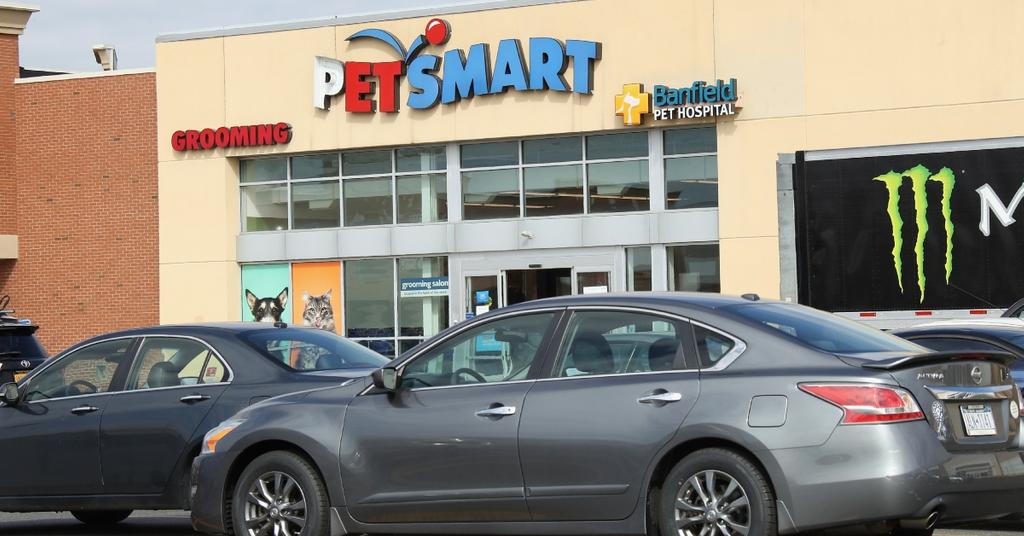 Woman Finds Box of Live Fish in PetSmart Dumpster