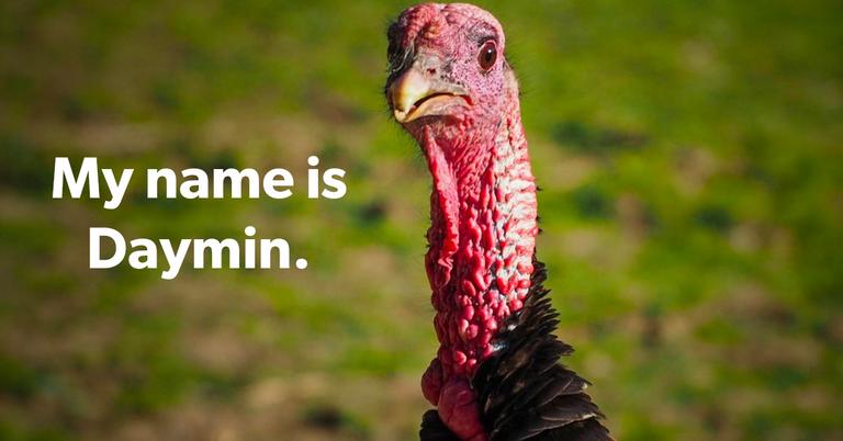 This Woman Posted All the "Best White Boy Names" She's Seen on Twitter ...