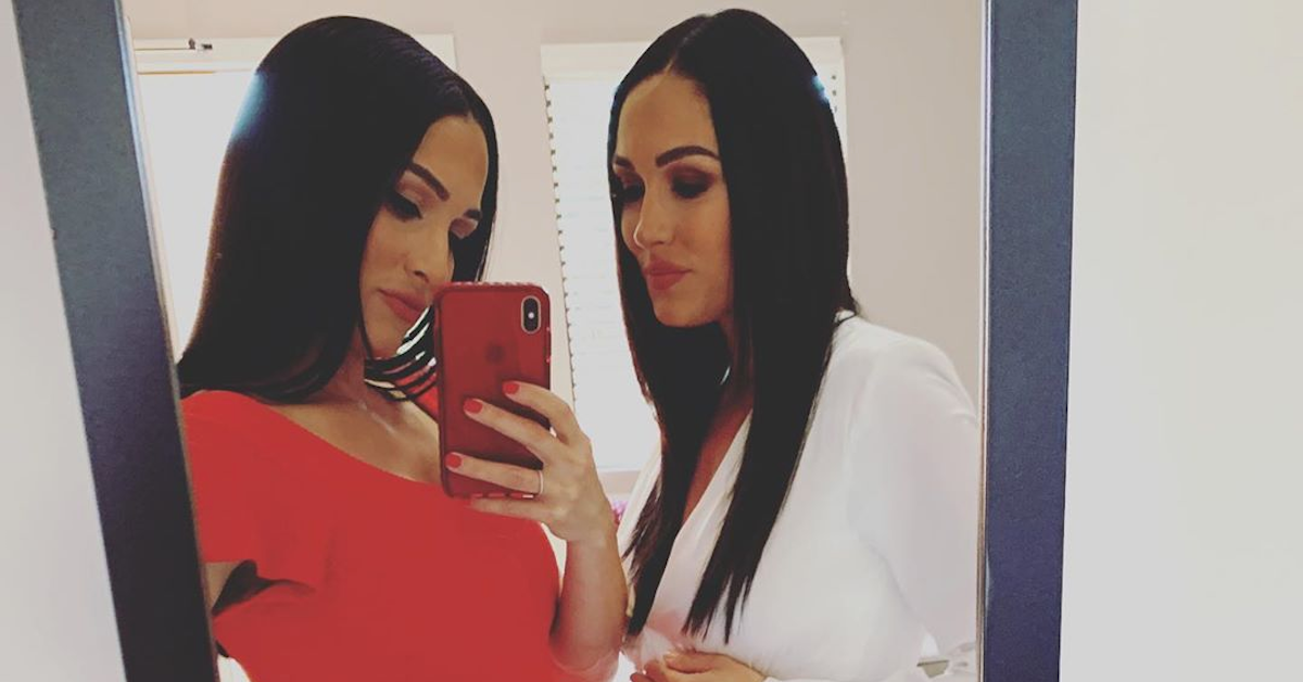 Bella Twins' Biological Father: Their Relationship Is Rocky