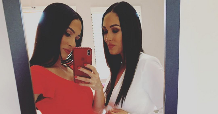 Bella Twins' Biological Father: Their Relationship Is Rocky
