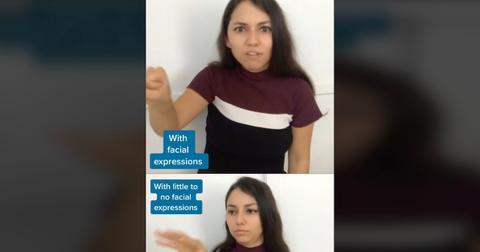 Why Do Sign Language Translators Make Faces? Details