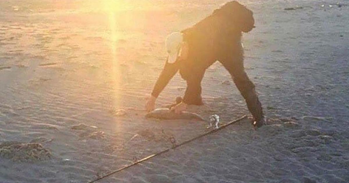 This Optical Illusion Has People Seeing Different Things And We Are Stumped