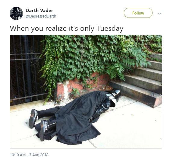 Everyone Can Relate to These Hilarious Happy Tuesday Memes