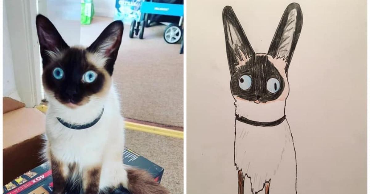 Man With Little Artistic Skill Draws Bad Pet Portraits for Charity