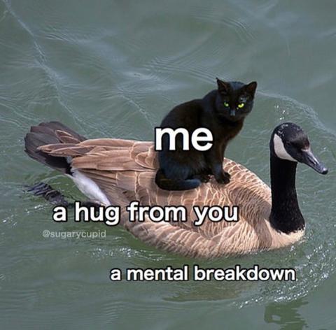 National Boyfriend Day Memes That Will Make You Laugh — Keep Reading