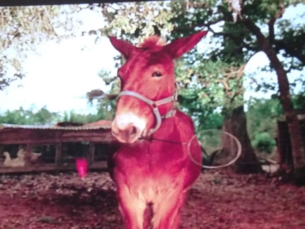 15 "Waterboy" Facts to Celebrate the Movie's 20th Anniversary