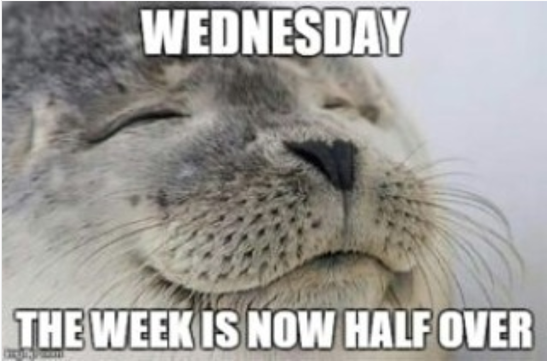 Hump Day Memes: Here Are Some Memes to Make Your Wednesday Lighter