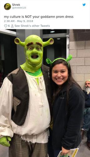 All the Best "My Culture Is Not Your Prom Dress" Memes