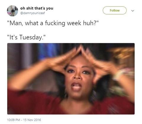 Everyone Can Relate to These Hilarious Happy Tuesday Memes
