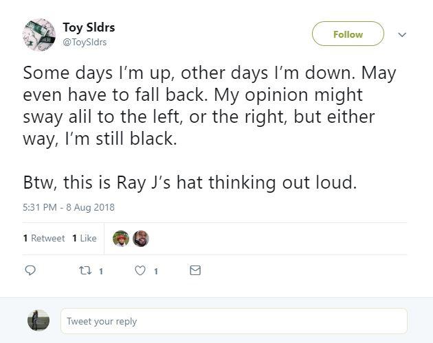 Hilarious Memes of Ray J's Moving Hat Take Over on Social Media