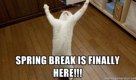 Vacation's Got Us All Feeling Like the Teachers from the Spring Break Meme