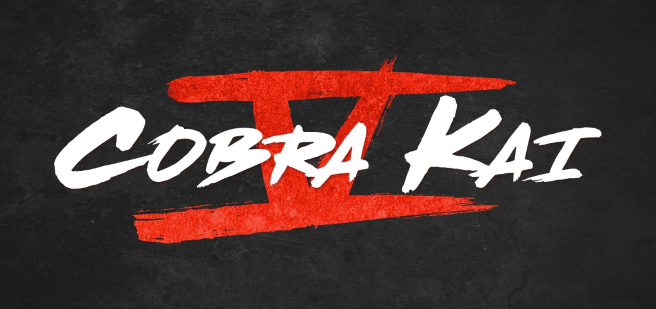 'Cobra Kai' Pays Tribute to AD Jeff Kay in Season 5