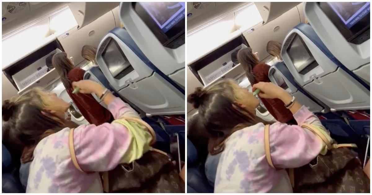 Woman Brings Pit Bull on Plane, Sparks Outage on the Internet