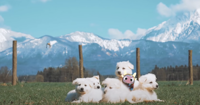 'Peridot' Game Release Date: Details on Niantic's New AR Game