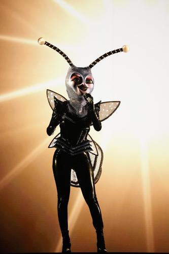 What Happened to Firefly on 'The Masked Singer'? Here's What We Know ...